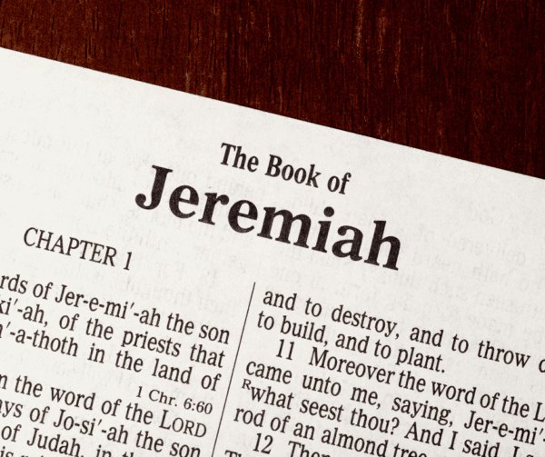 God’s Plans for Us: 7 Bible Verses You Need Today