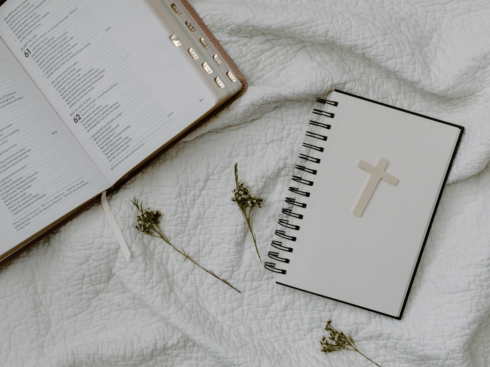 Creating a Bible Study Plan for Beginners: A Step-by-Step Guide